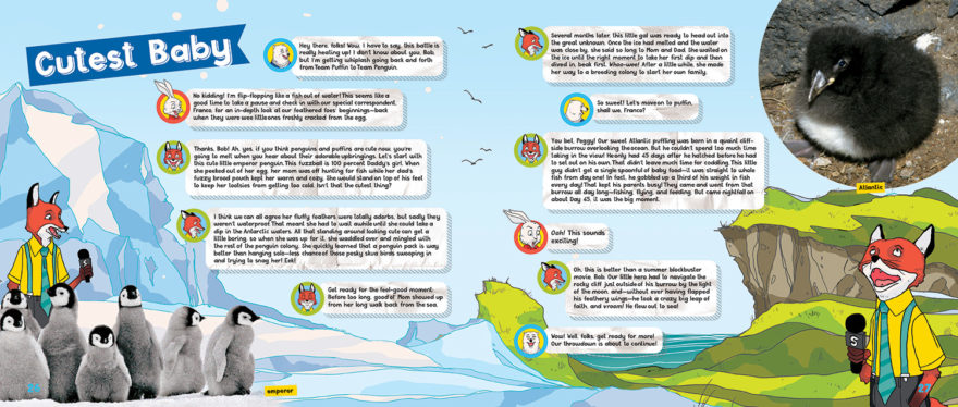 MICHAEL BYERS | PENGUINS VS. PUFFINS FOR NATIONAL GEOGRAPHIC KIDS ...