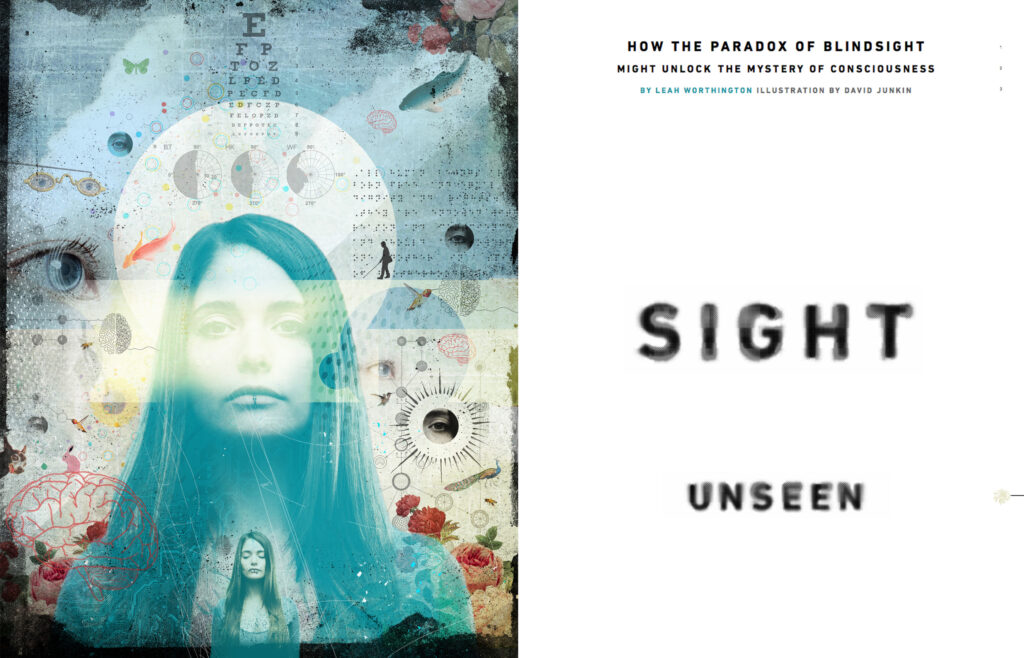 DAVID JUNKIN | SIGHT UNSEEN FOR CALIFORNIA MAGAZINE | Levy Creative ...