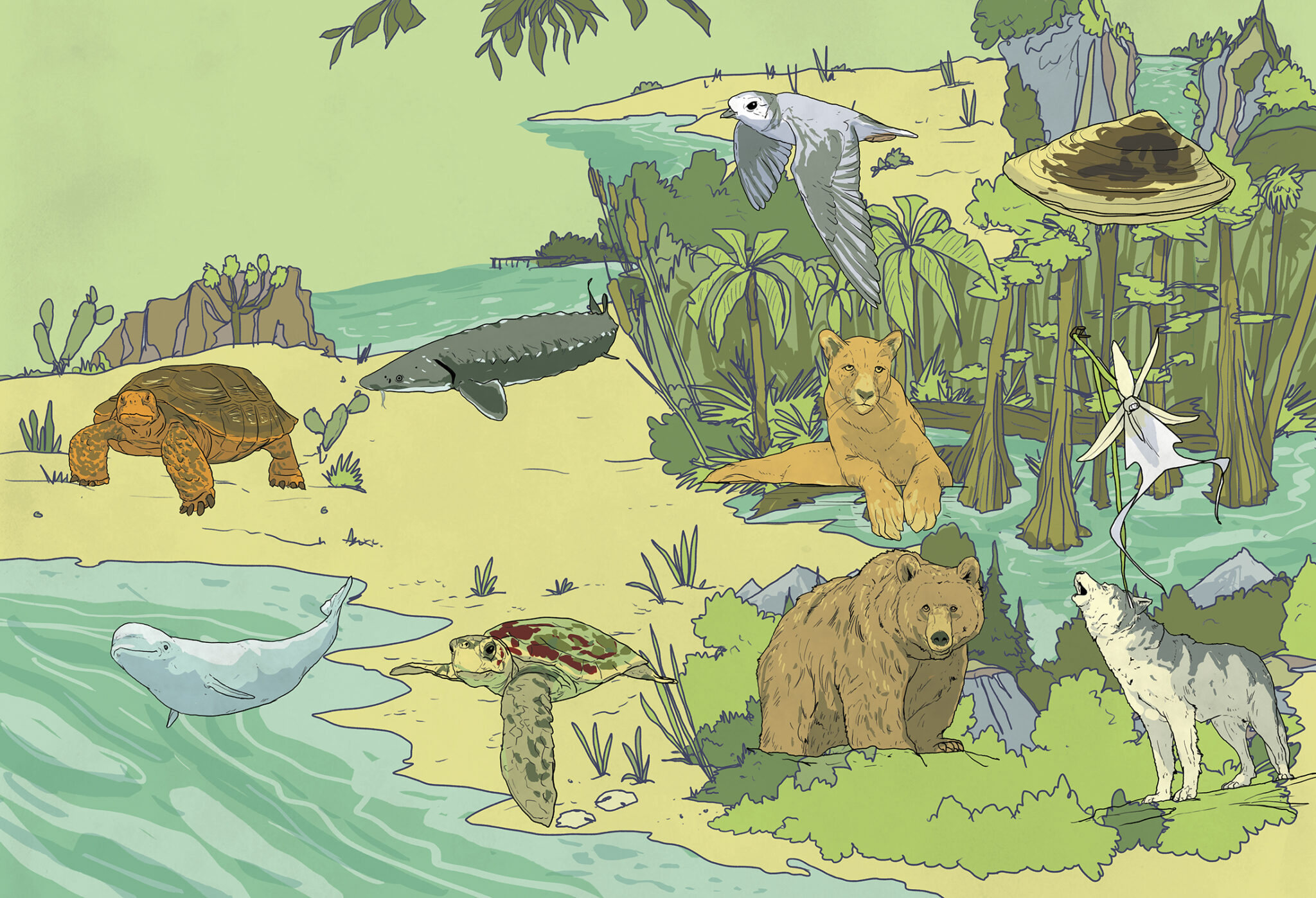 MICHAEL BYERS | 50TH ANNIVERSARY OF THE ENDANGERED SPECIES ACT FOR THE ...